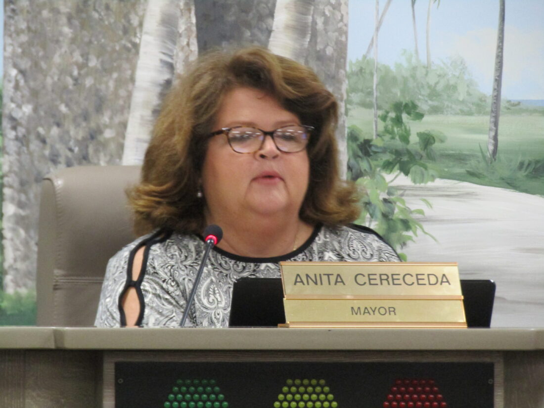 Council votes to leave Cereceda off charter review commission - FORT ...